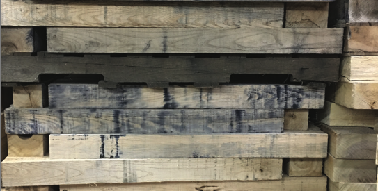 How to Differentiate Mold from Pallet Discolorations and Wood Stains